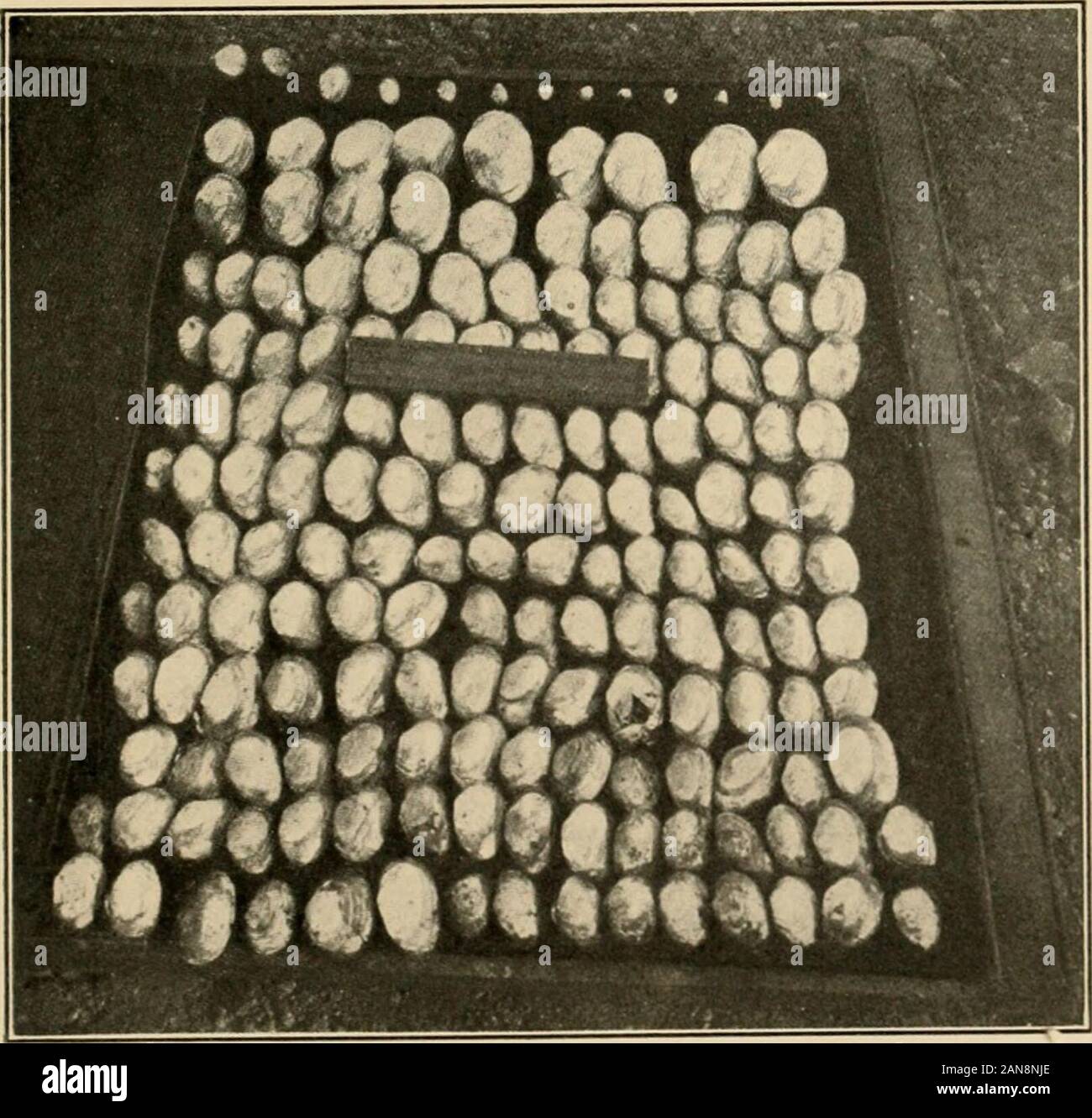 Clam holes hi-res stock photography and images - Alamy