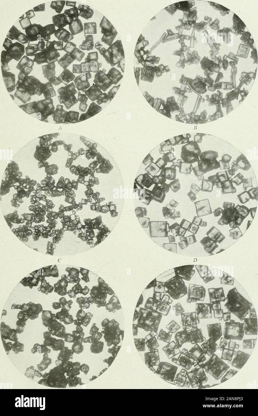 Bulletin . salt is produced. The particles of solid saltprobably afford ...