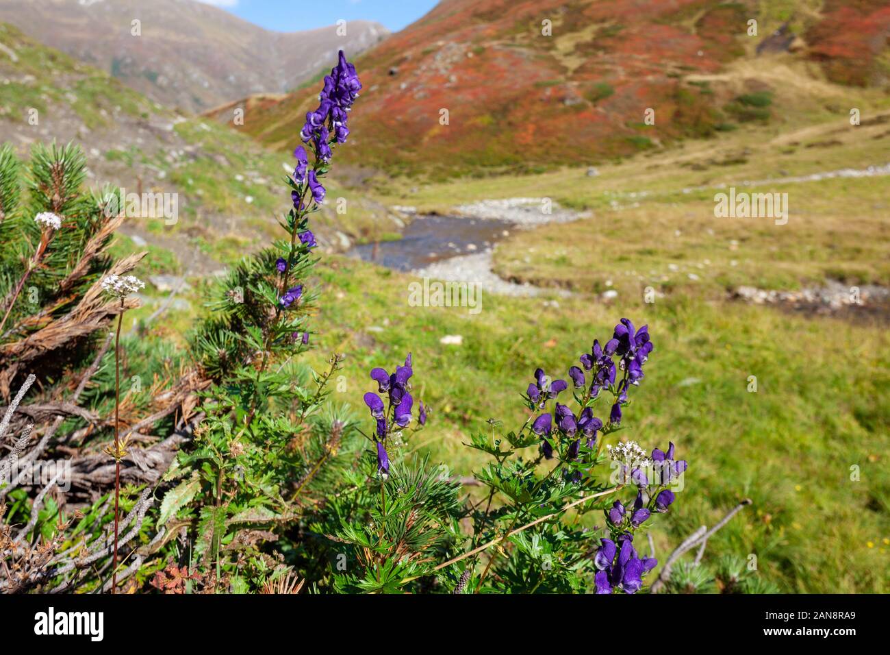 The upper course of the Mur (Mura) River in Austrian Alps Stock Photo ...