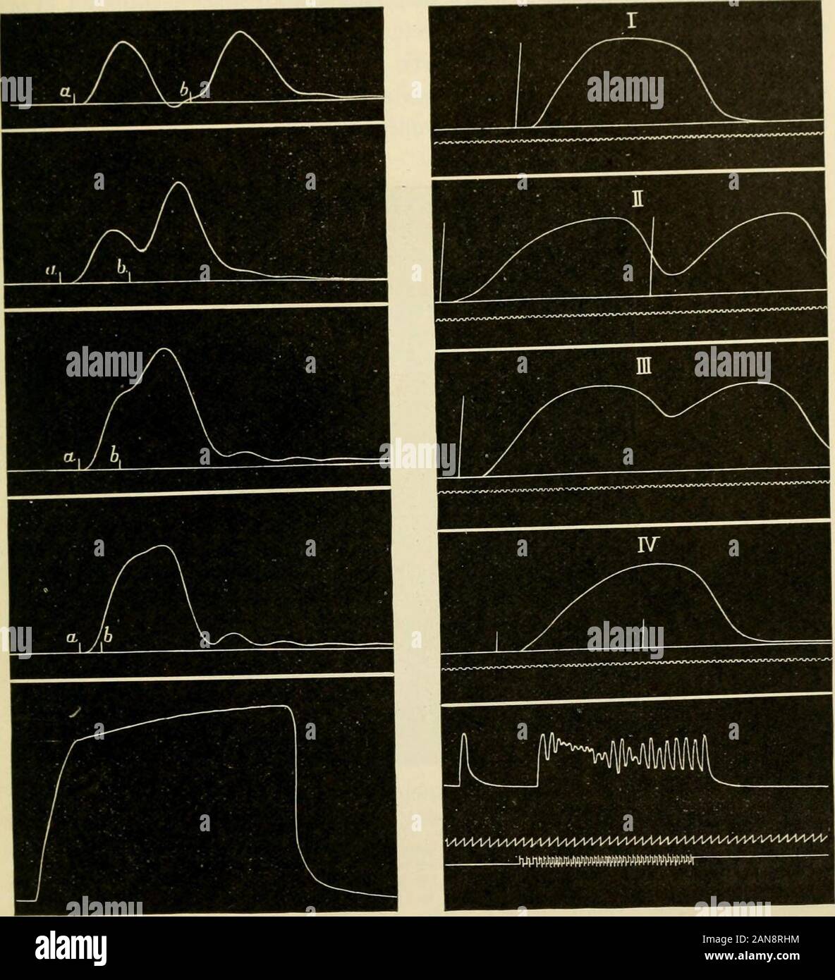 Physiology and biochemistry in modern medicine . ceeding each other ...