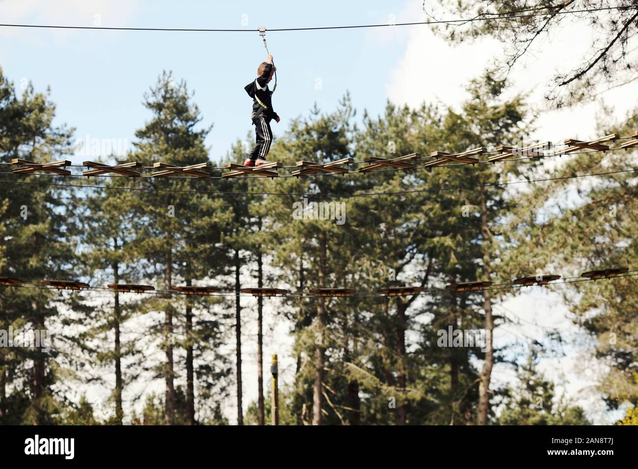 Tree top ropes course hi-res stock photography and images - Alamy
