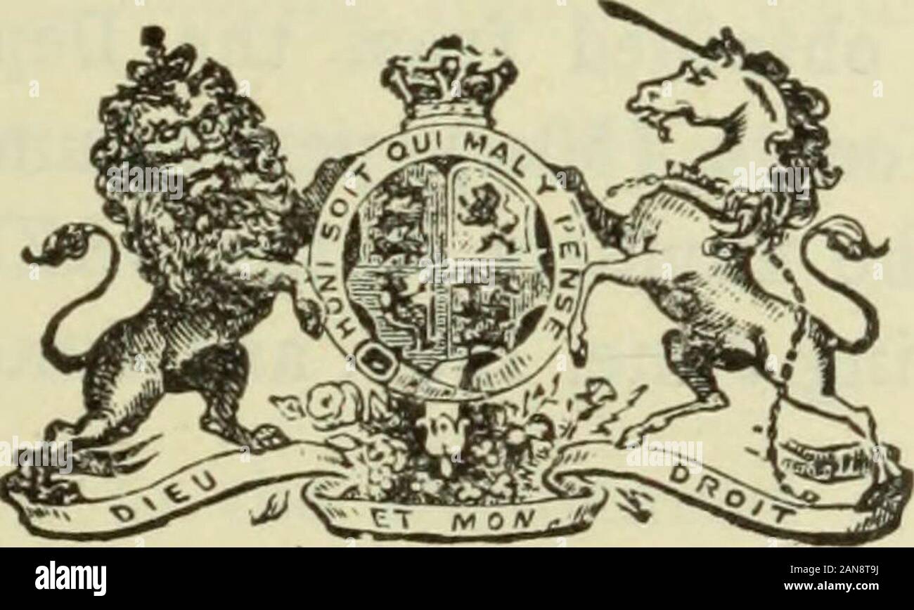 Taff vale hi-res stock photography and images - Alamy