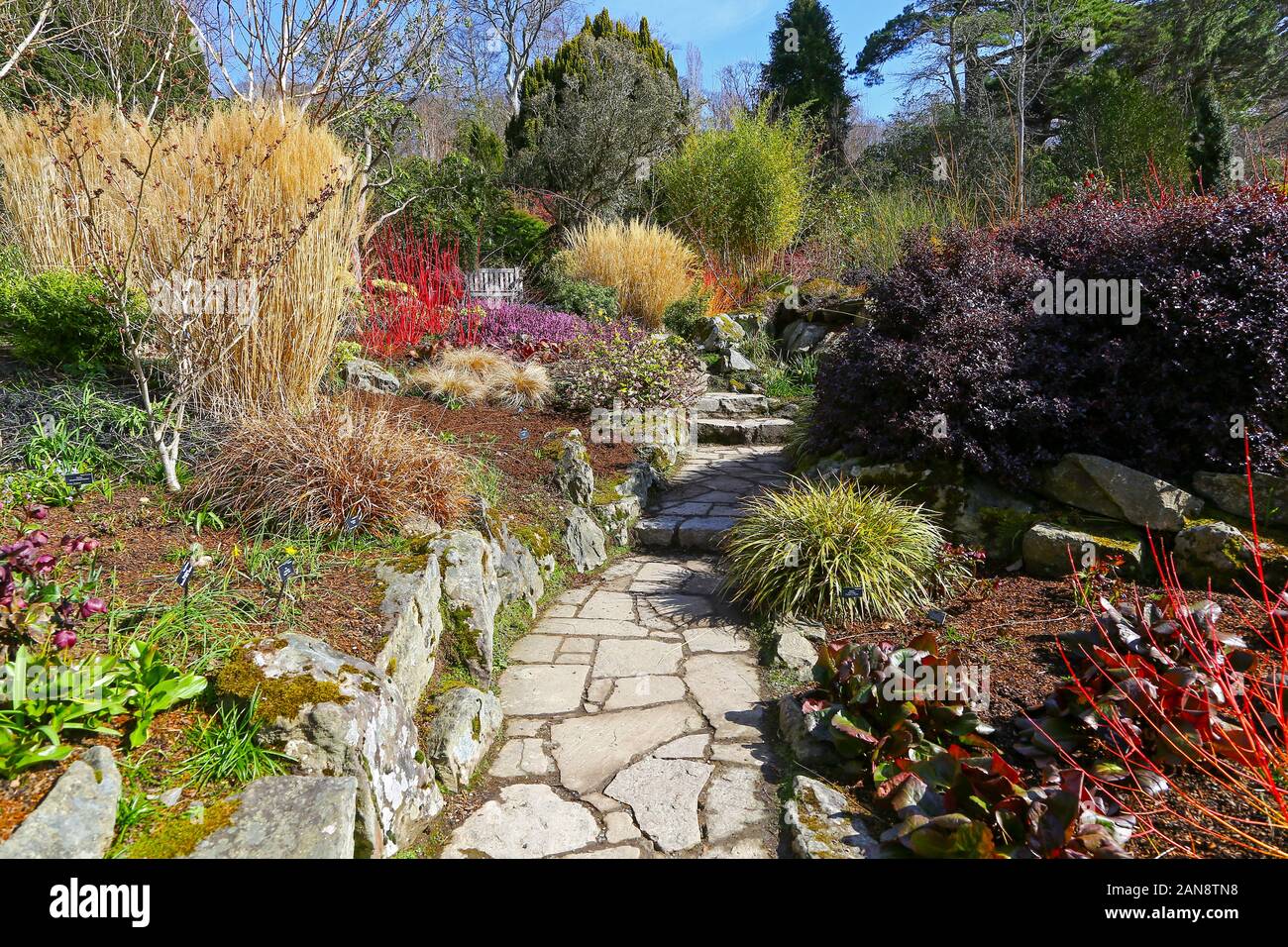 Winter garden uk hi-res stock photography and images - Alamy