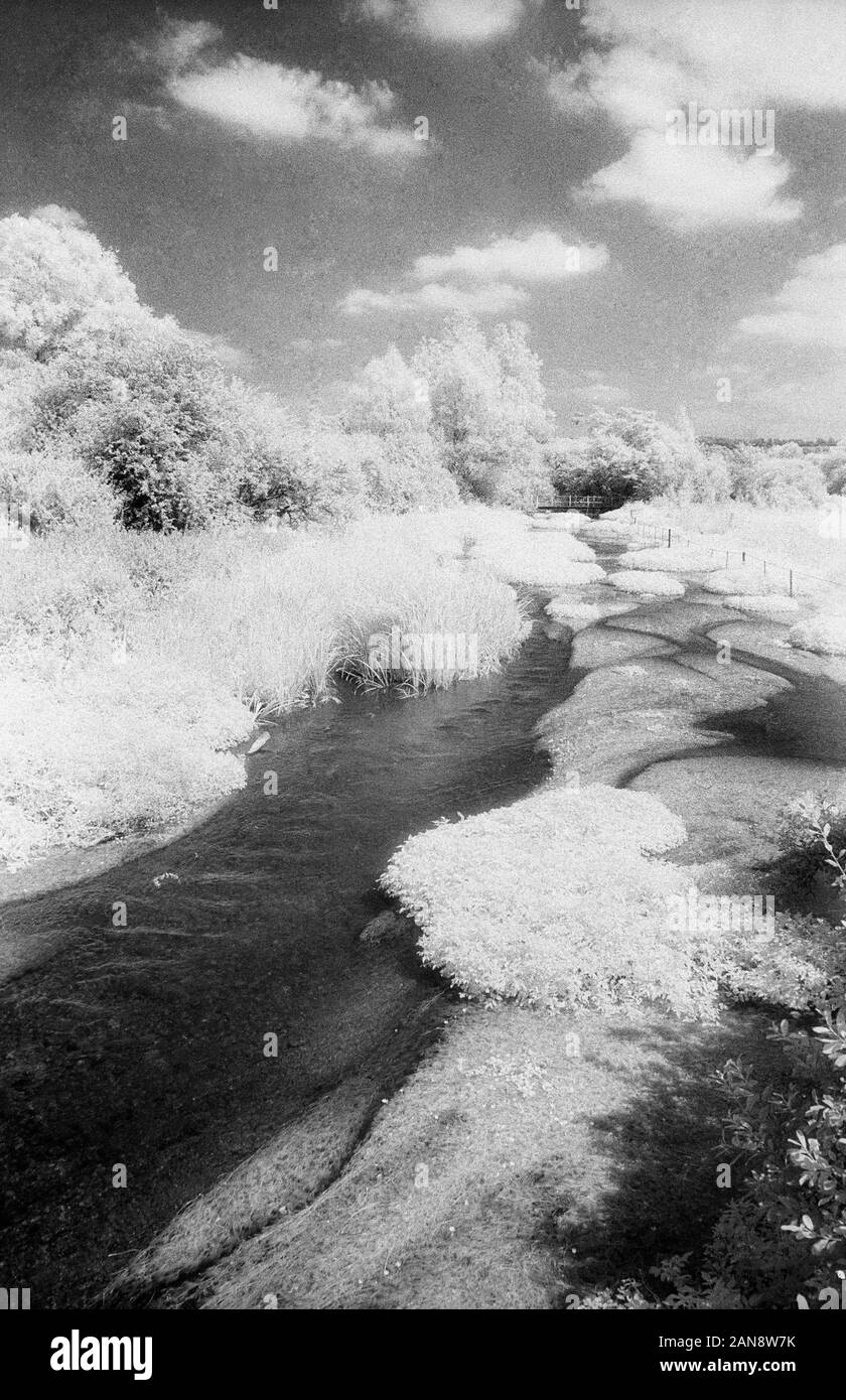 River Meon near Exton, mid-Hampshire, England, UK. Black and white ...