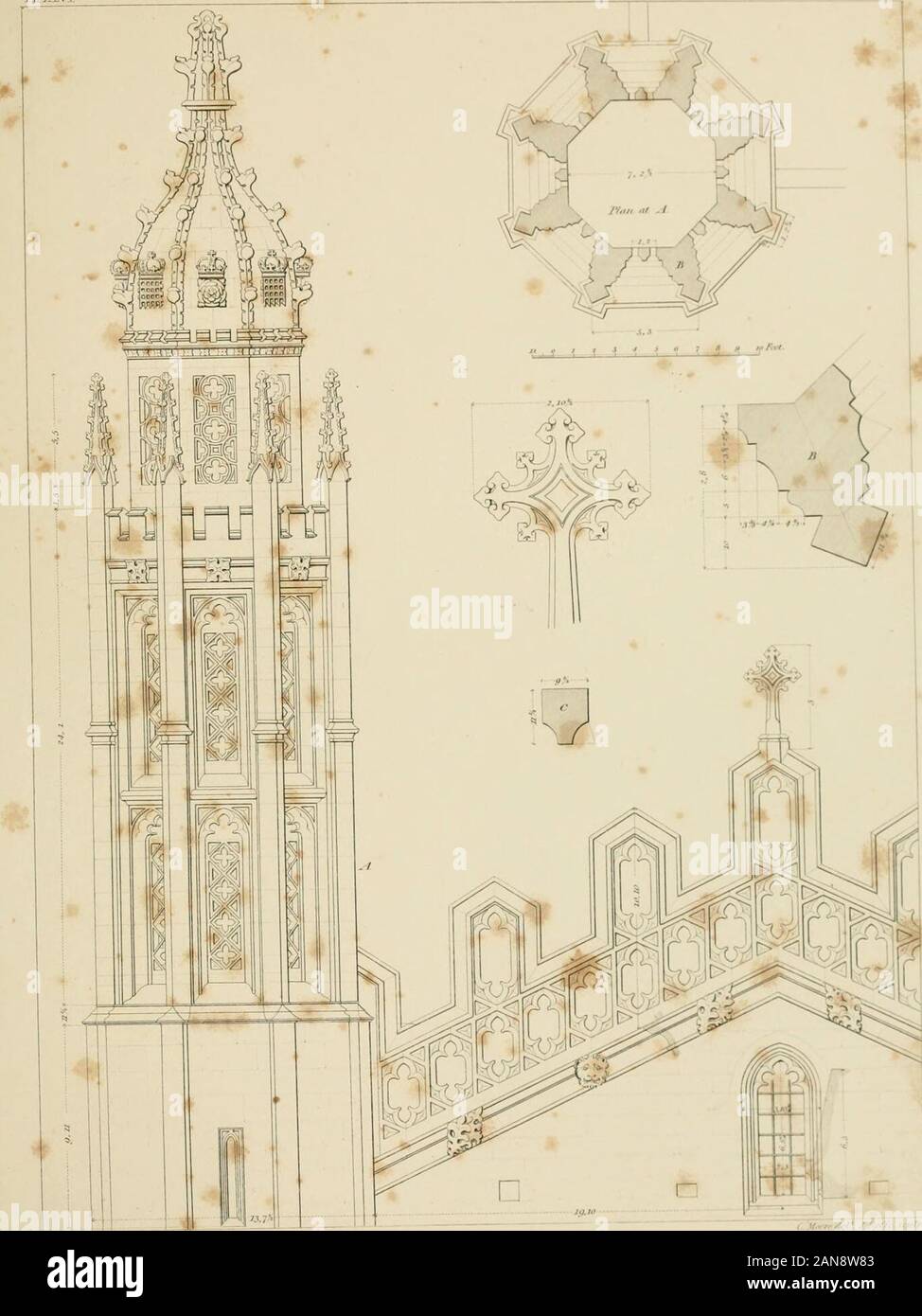 Specimens of Gothic architecture; selected from various ancient ...