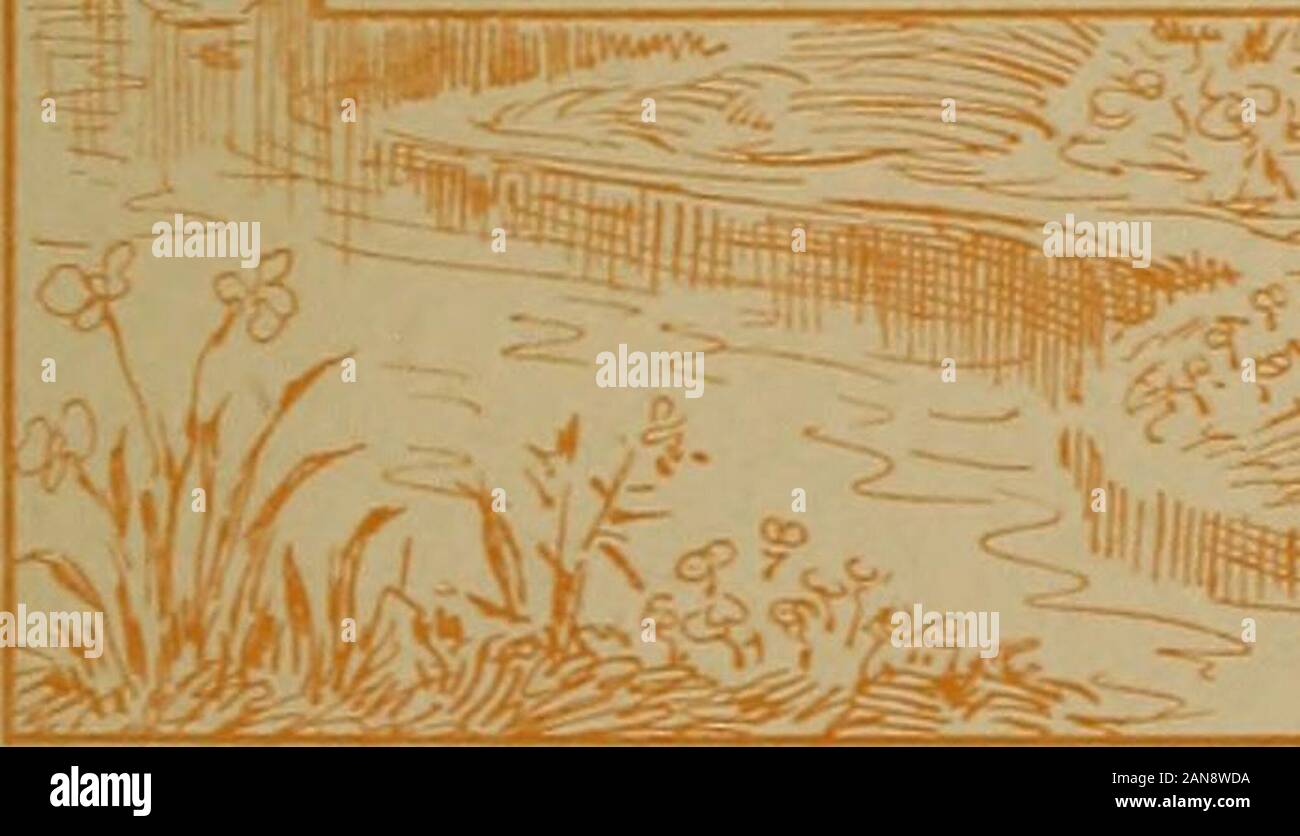 Love poems from the works of Robert Browning and Elizabeth Barrett ...