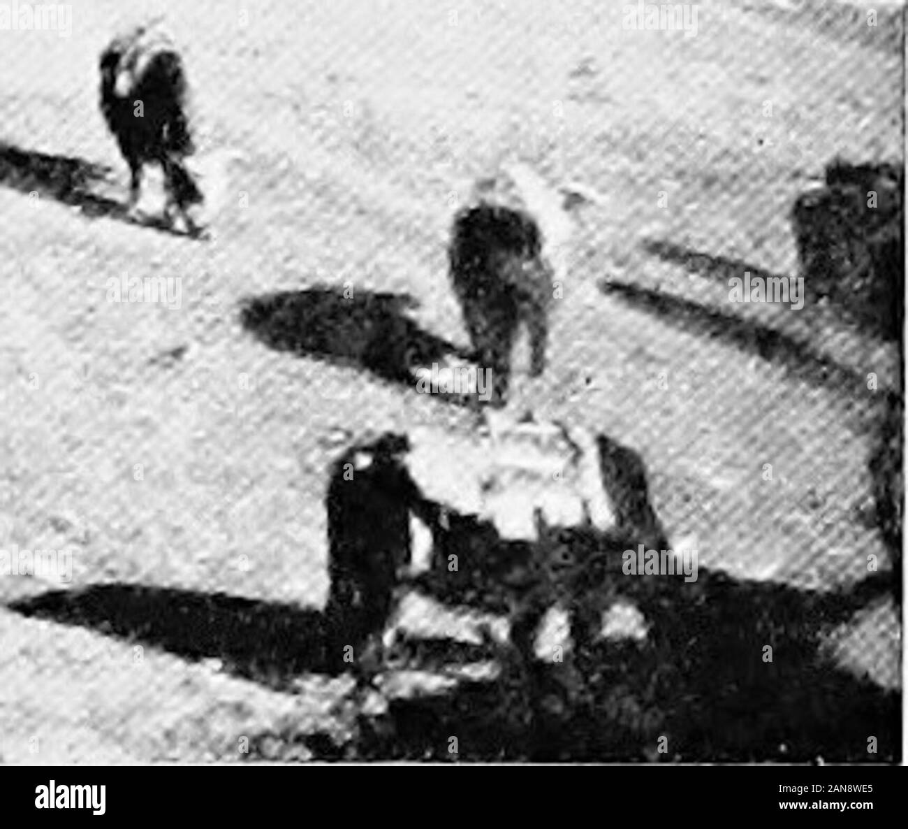 Caravan yak Black and White Stock Photos & Images - Alamy