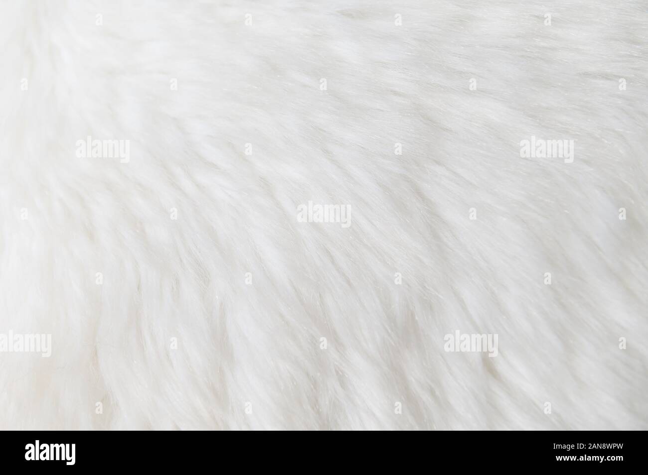 White fluffy fur texture patterns background Stock Photo - Alamy