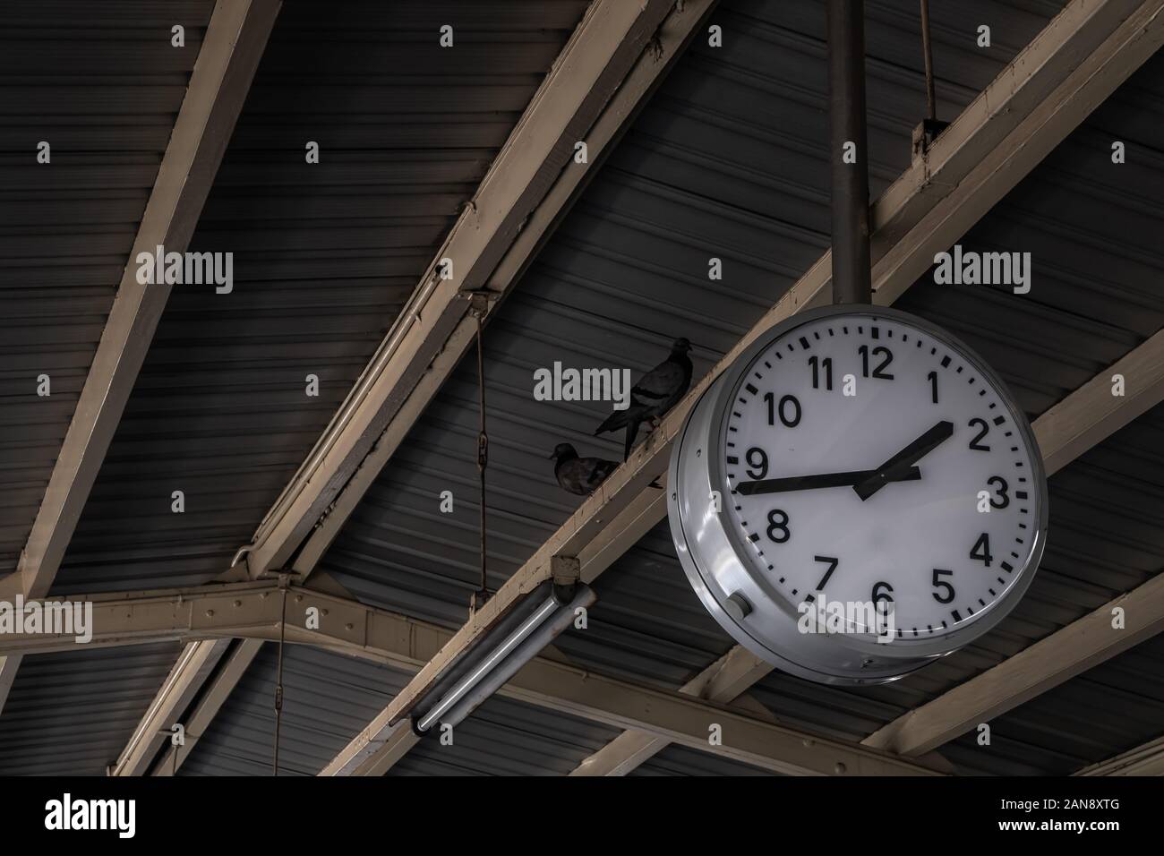 Clock or watch attach the pole under the roof, Beautiful big white ...