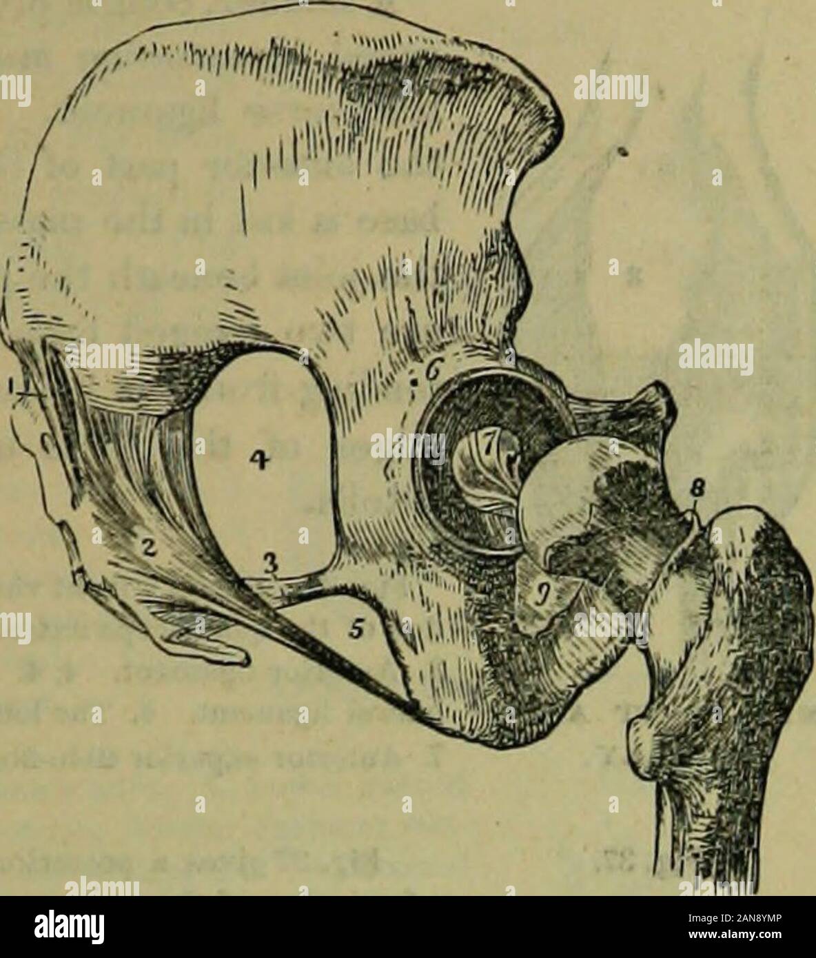 The hydropathic encyclopedia: a system of hydropathy and hygiene ...