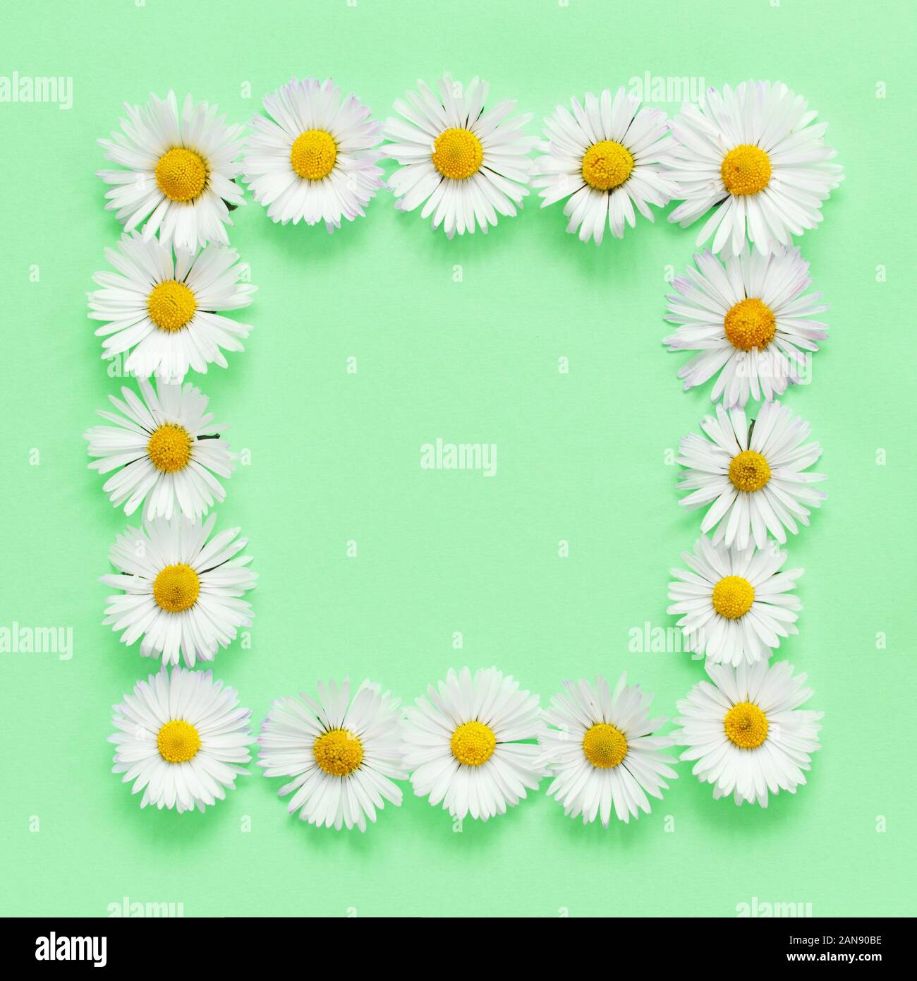 Daisy frame hi-res stock photography and images - Alamy