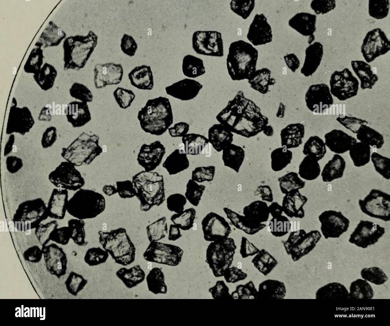 The Dental cosmos . Washing from a widely advertised American tooth ...