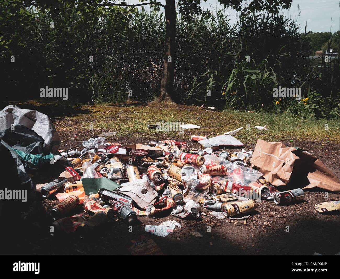 Smashed cans laying on the ground closeup angle view on a summer day ...