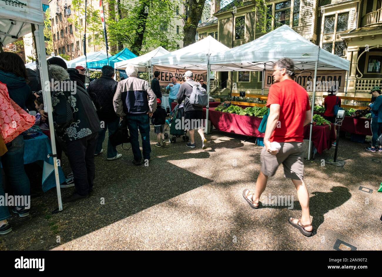 Portland Farmers Market - Shemanski Park. is a popular lunch and ...