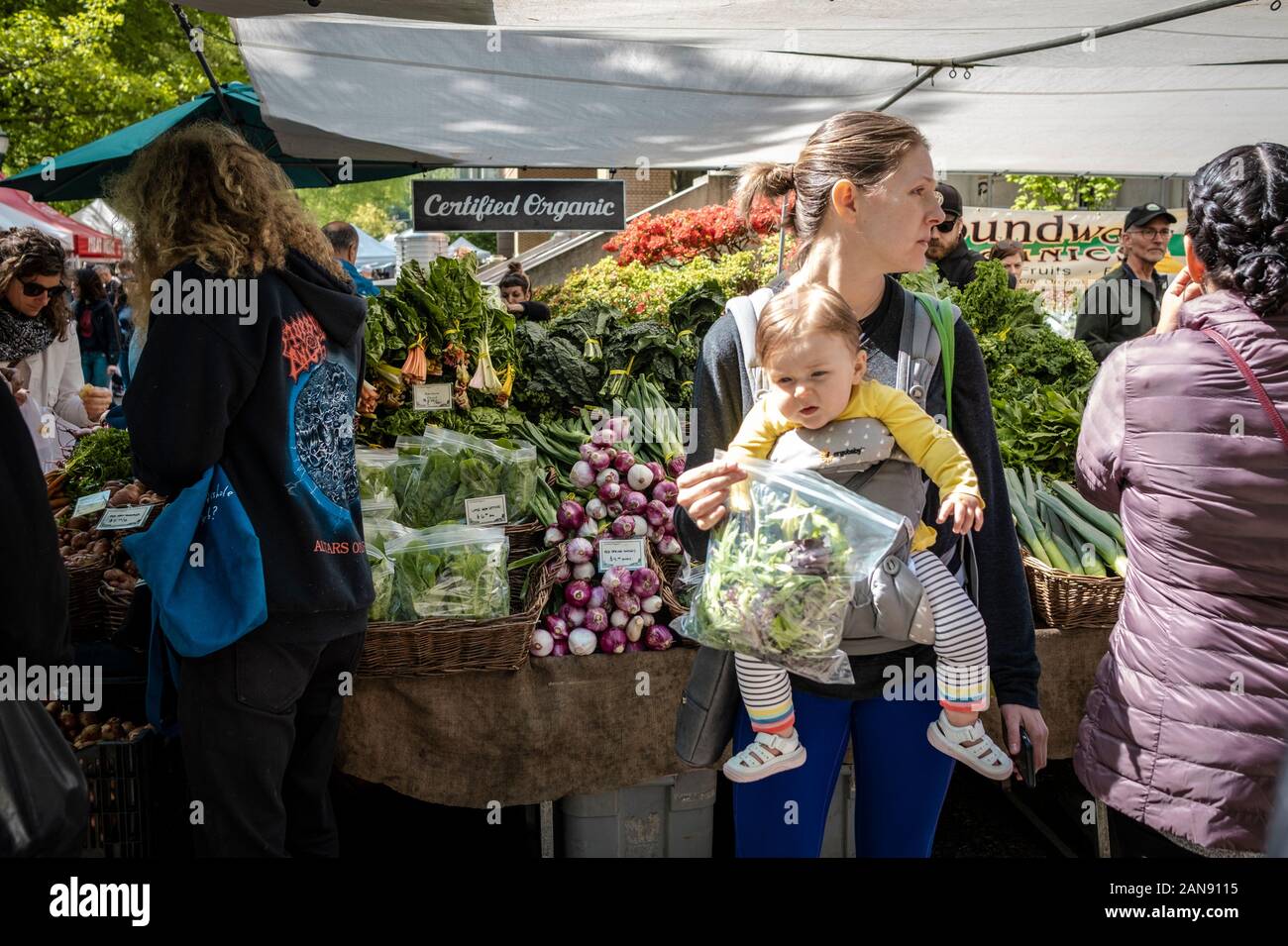 Portland Farmers Market - Shemanski Park. is a popular lunch and ...