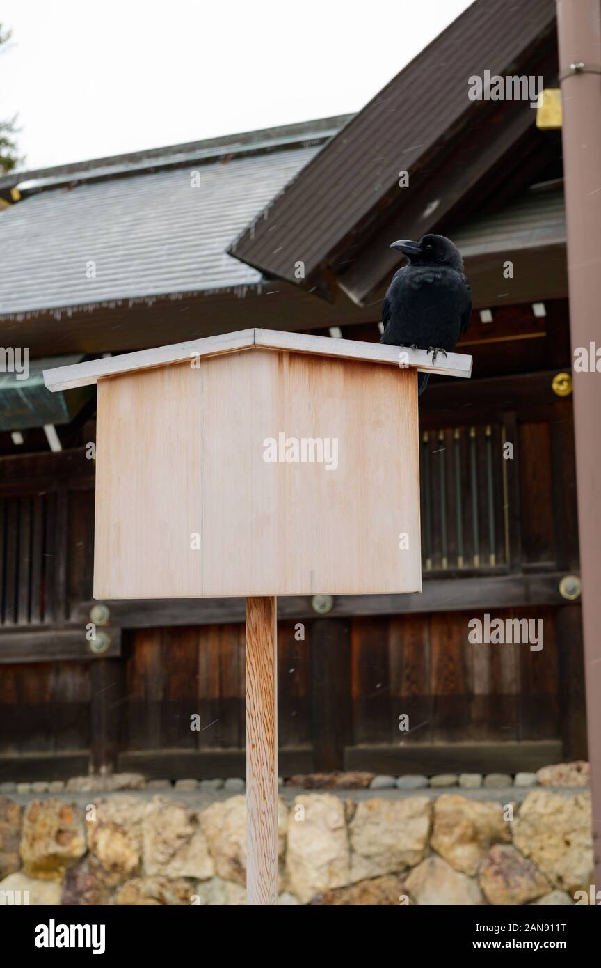 Crow on top of blank wooden board Stock Photo - Alamy