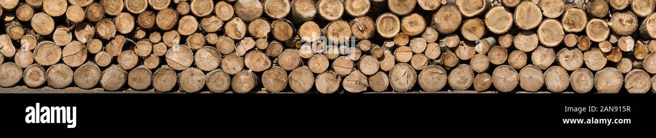 Wide log hi-res stock photography and images - Alamy