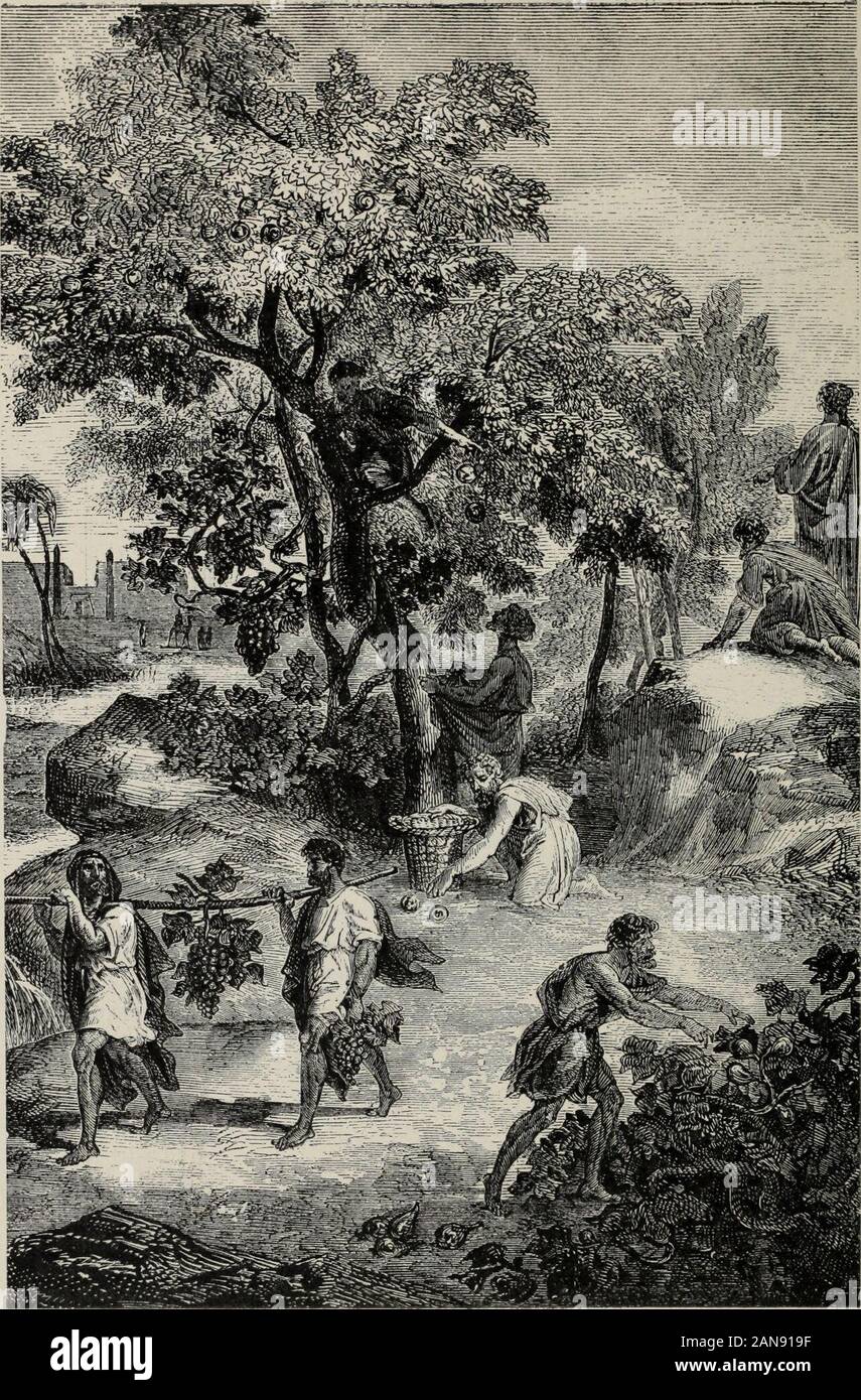 Mark 5 bible hi-res stock photography and images - Alamy