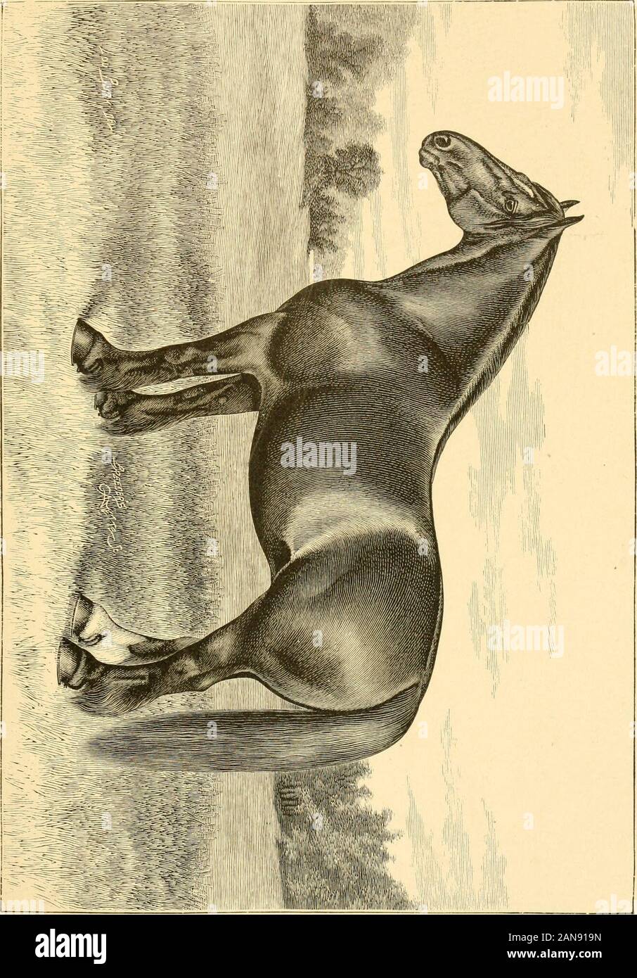 The breeds of live stock, and the principles of heredity ...