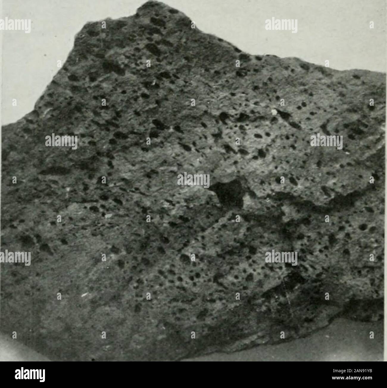 Amygdaloidal hi-res stock photography and images - Alamy