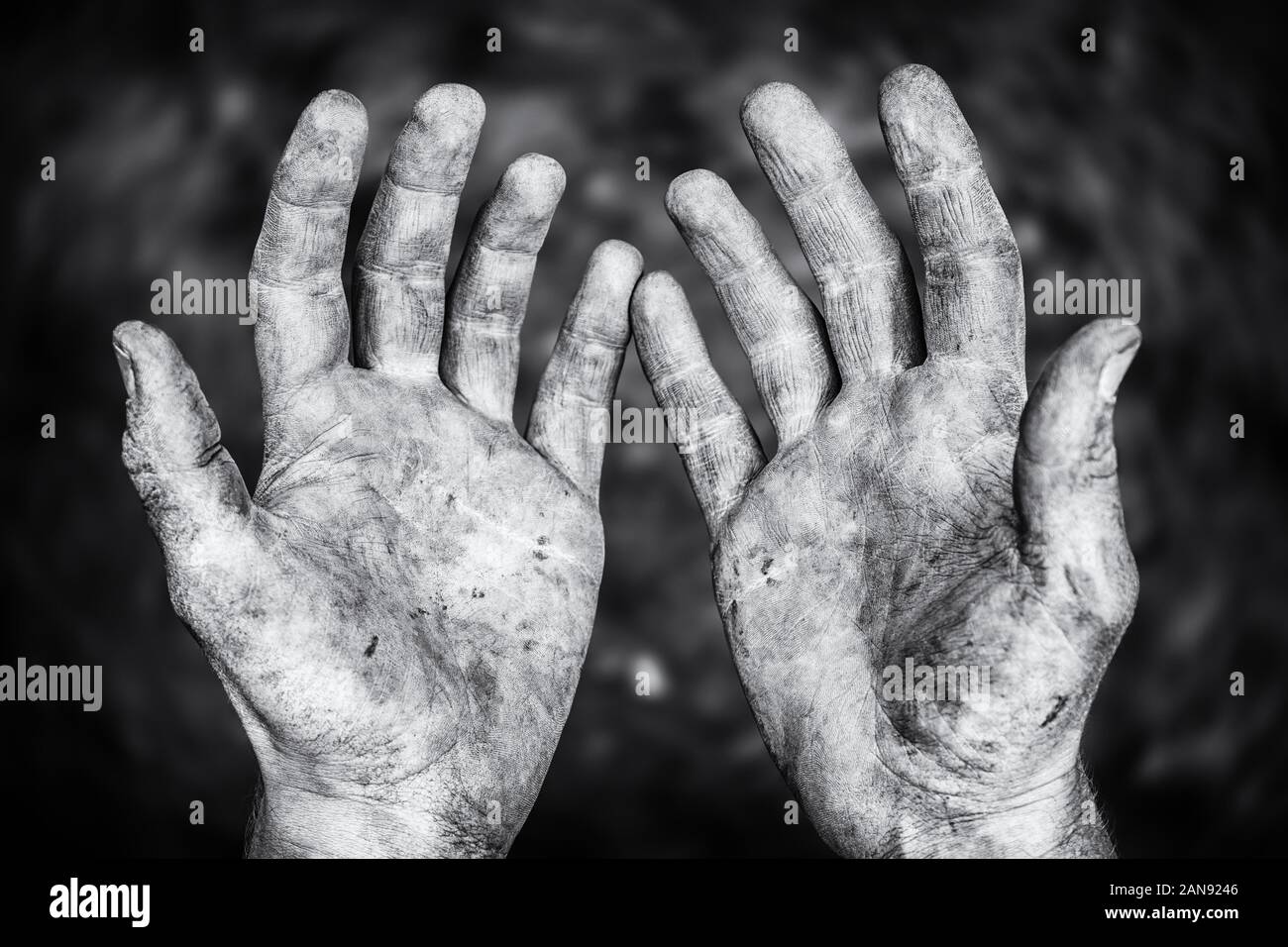 Dirty male hands after hard physical work in a black and white shot ...