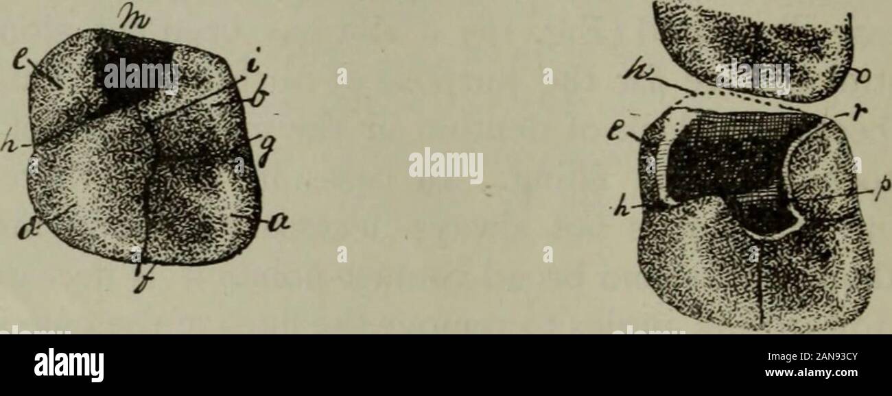 Centralposition hi-res stock photography and images - Alamy