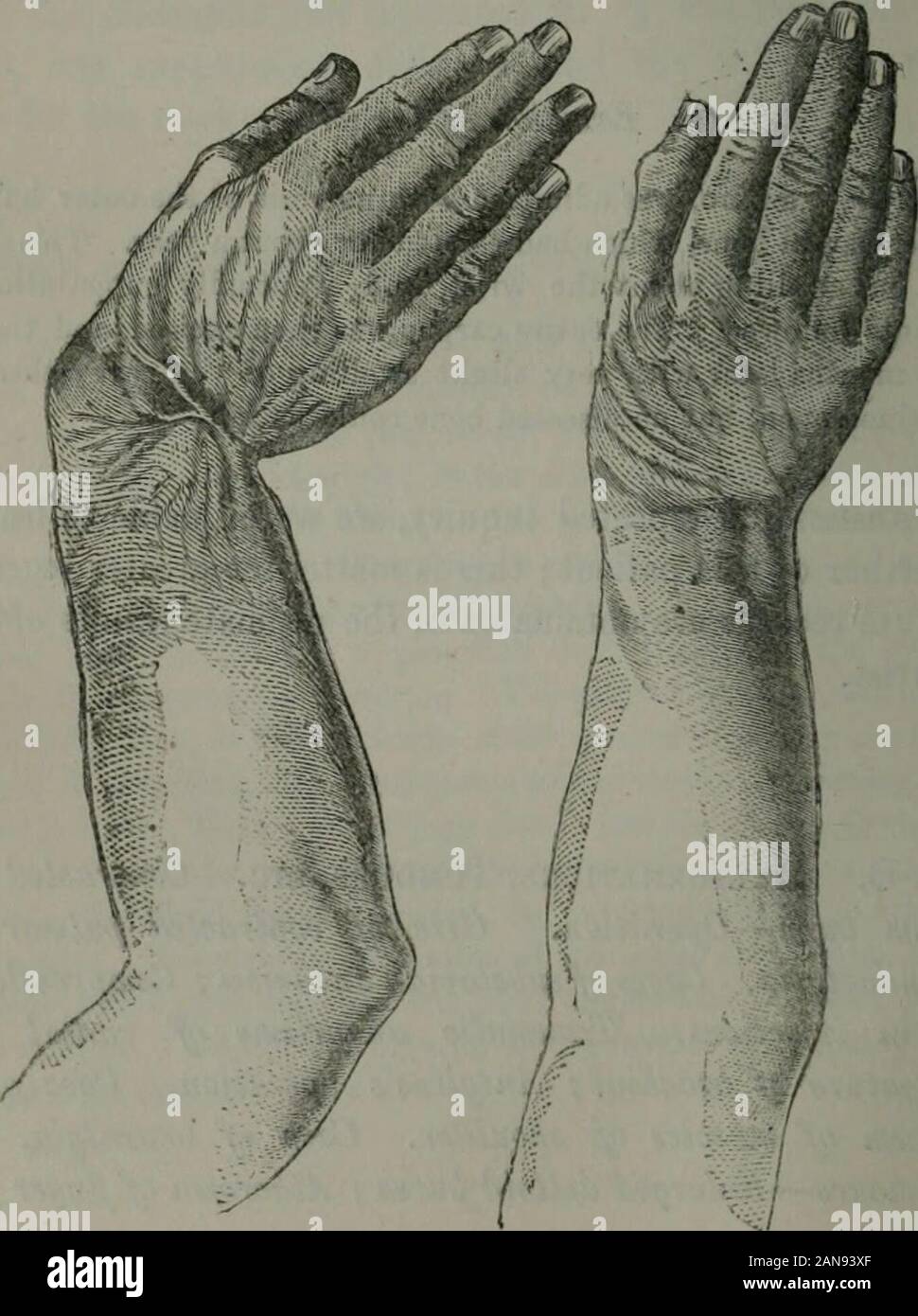 Clinical surgeryExtracts from the reports of surgical practice between ...