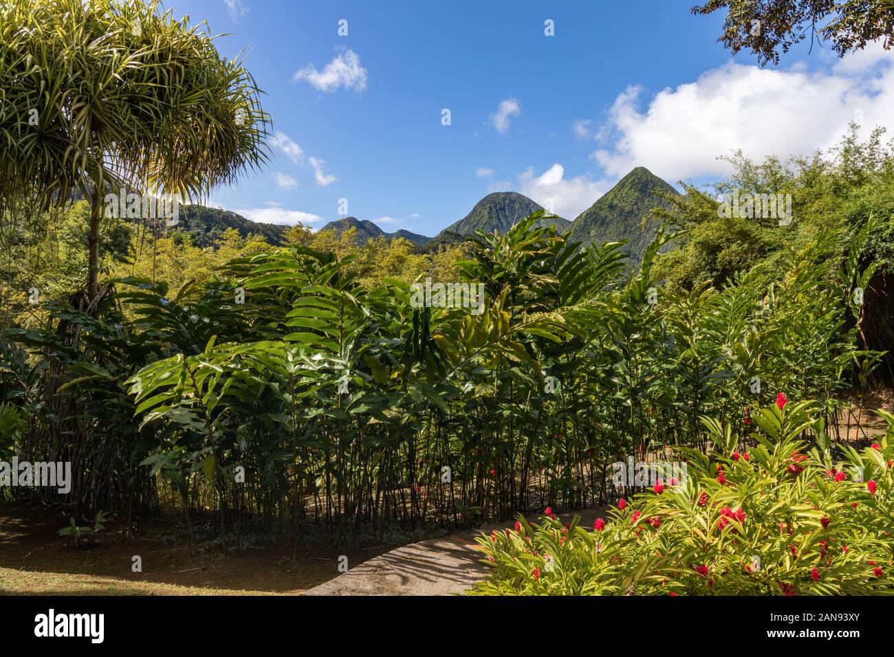 Carbet piton hi-res stock photography and images - Alamy