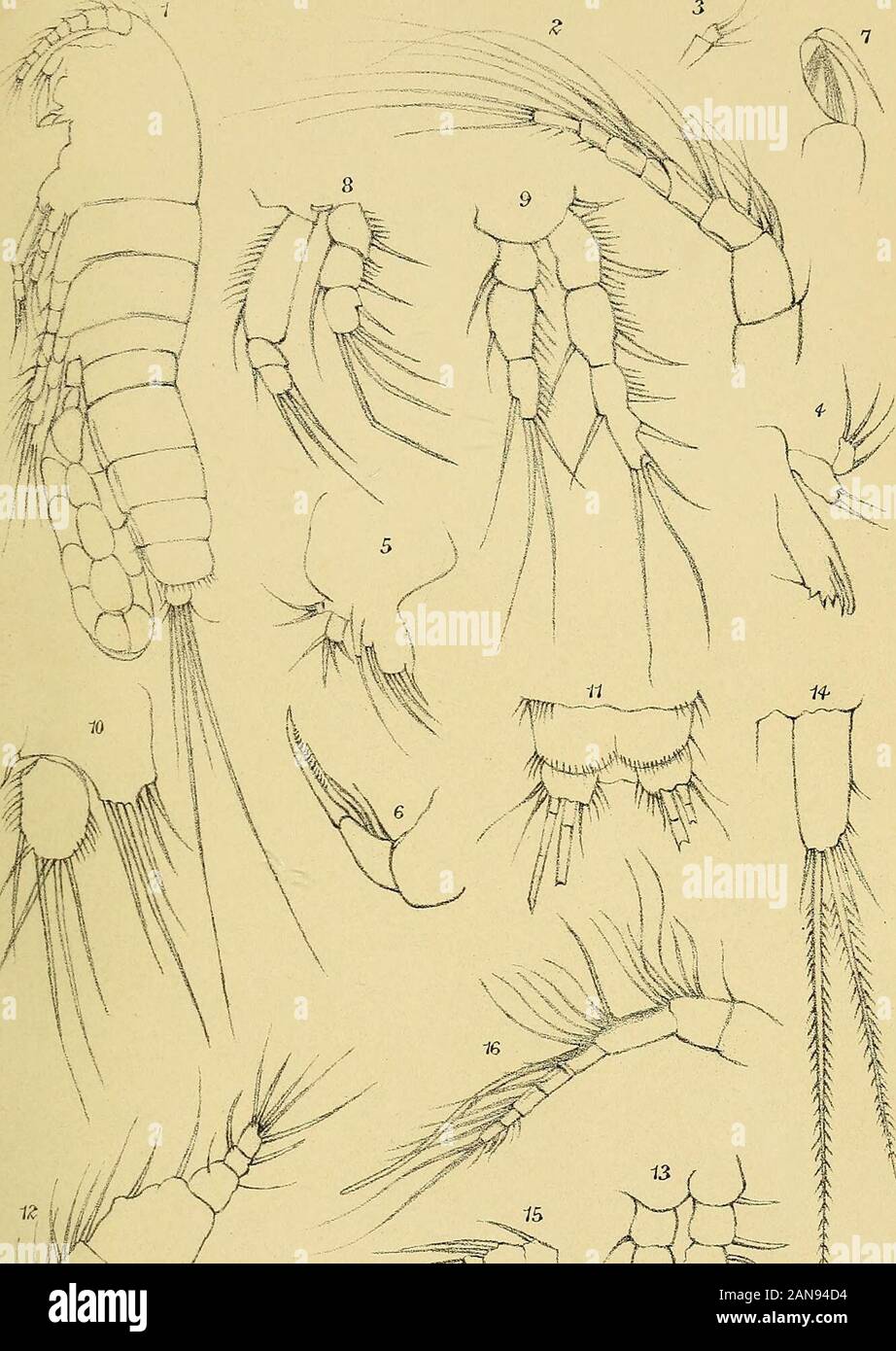 Transactions of the Natural History Society of Northumberland, Durham ...