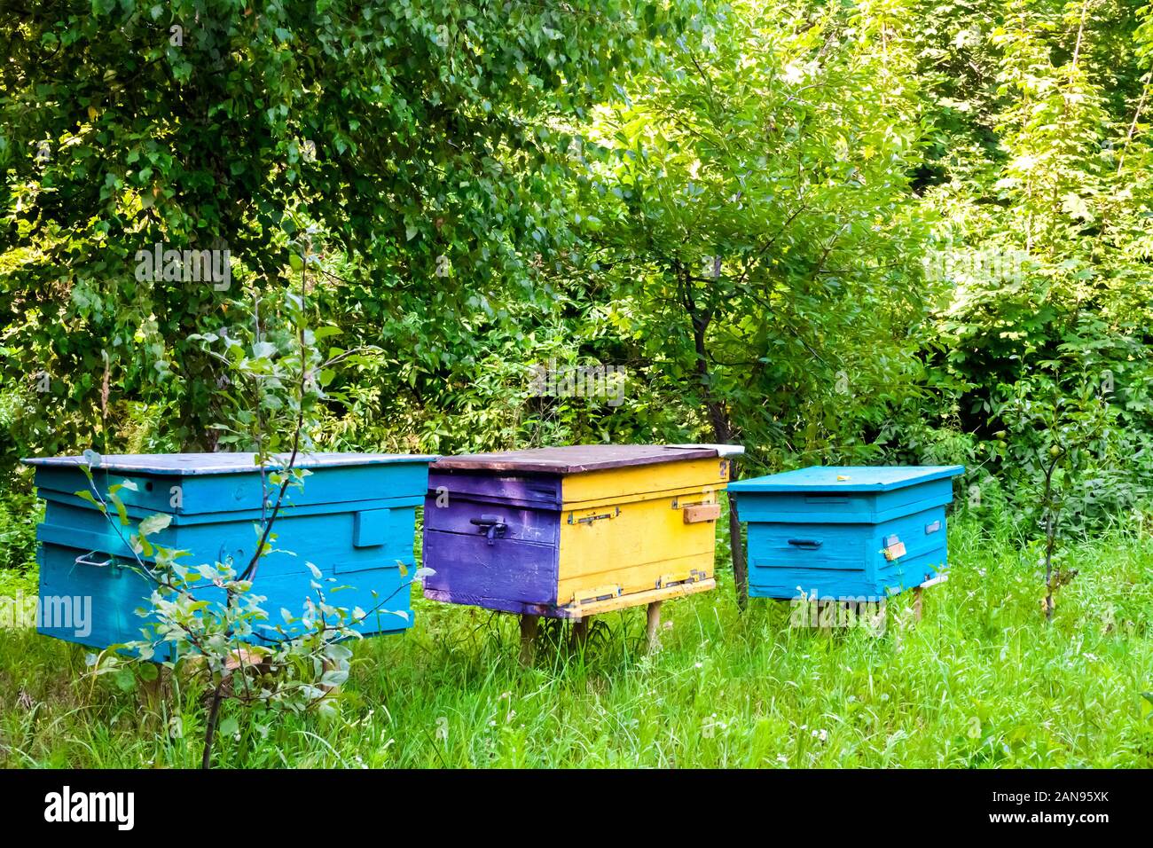 Apiary in village bee hi-res stock photography and images - Alamy