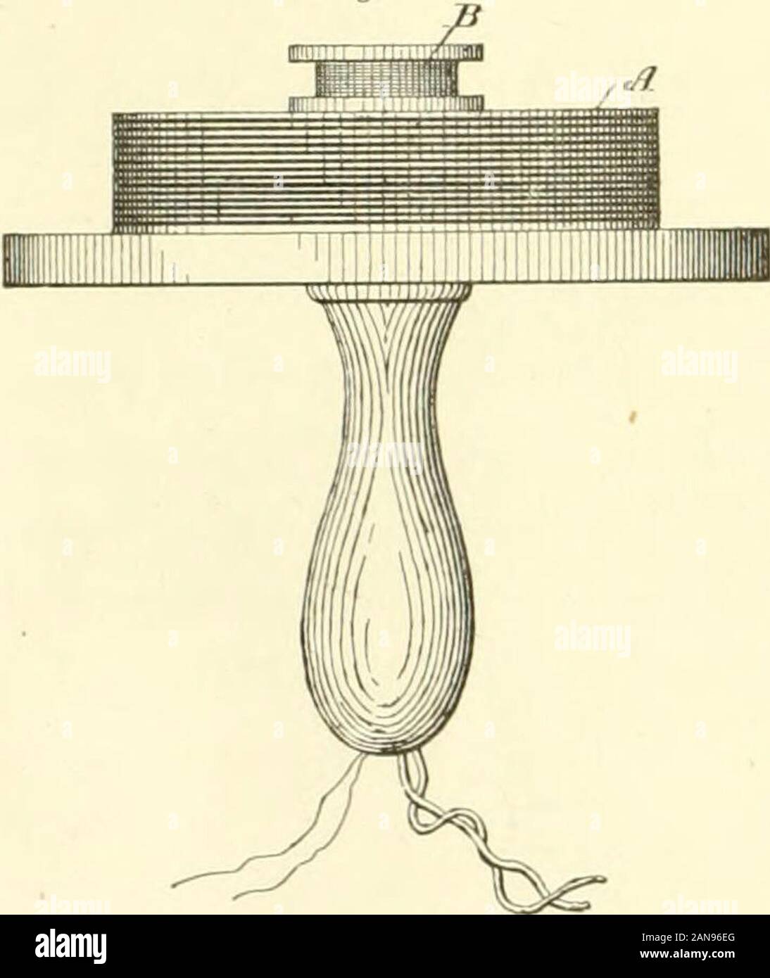 Upon the electrical experiments to determine the location of the bullet ...