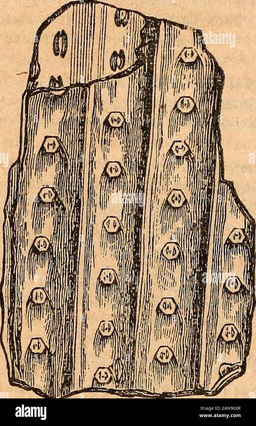 Descriptive catalogue hi-res stock photography and images - Alamy