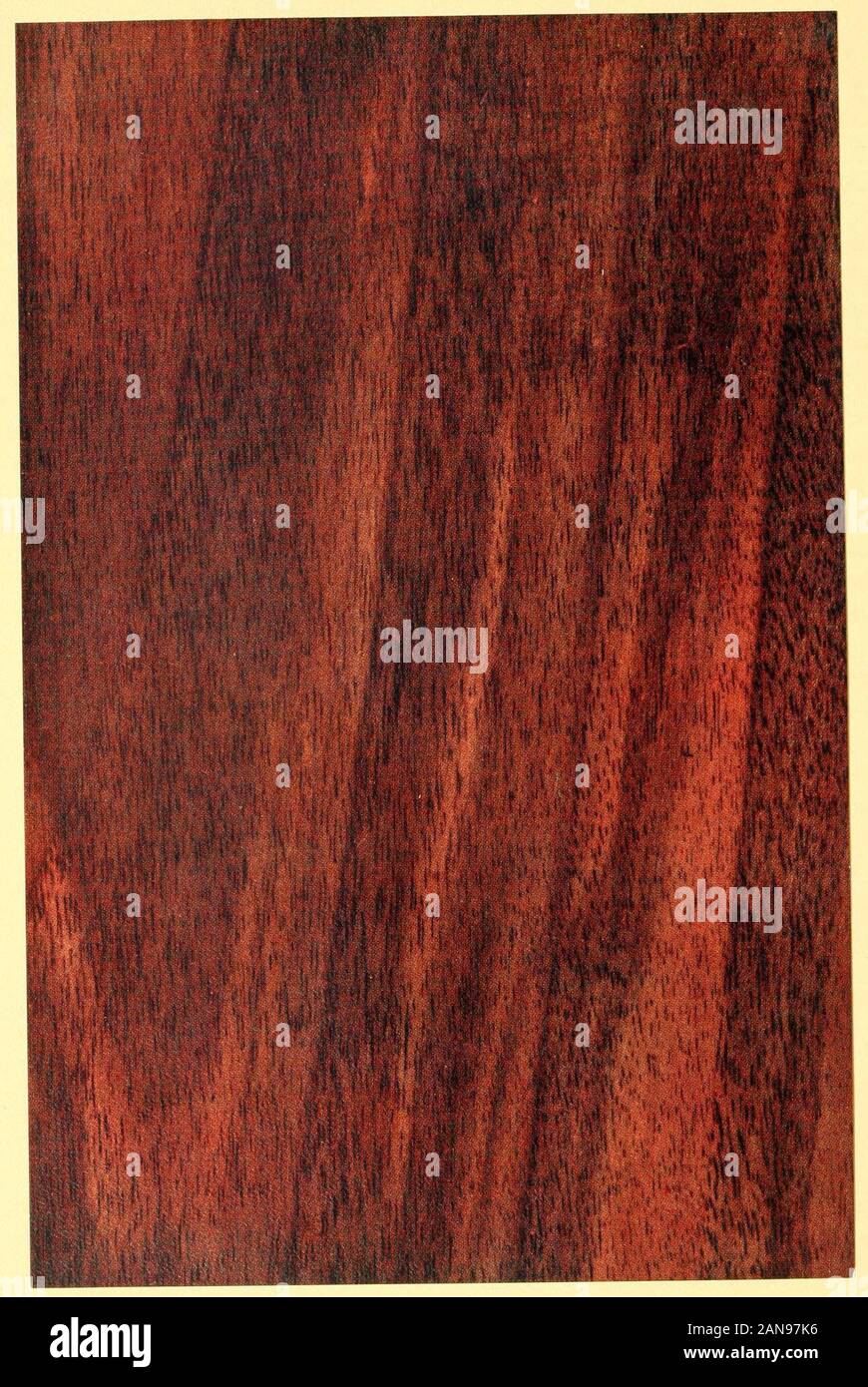 Plum cot hi-res stock photography and images - Alamy