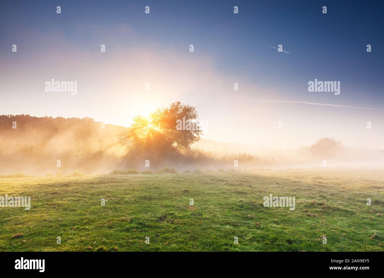 Fantastic foggy river with fresh green grass in the sunlight. Dramatic ...