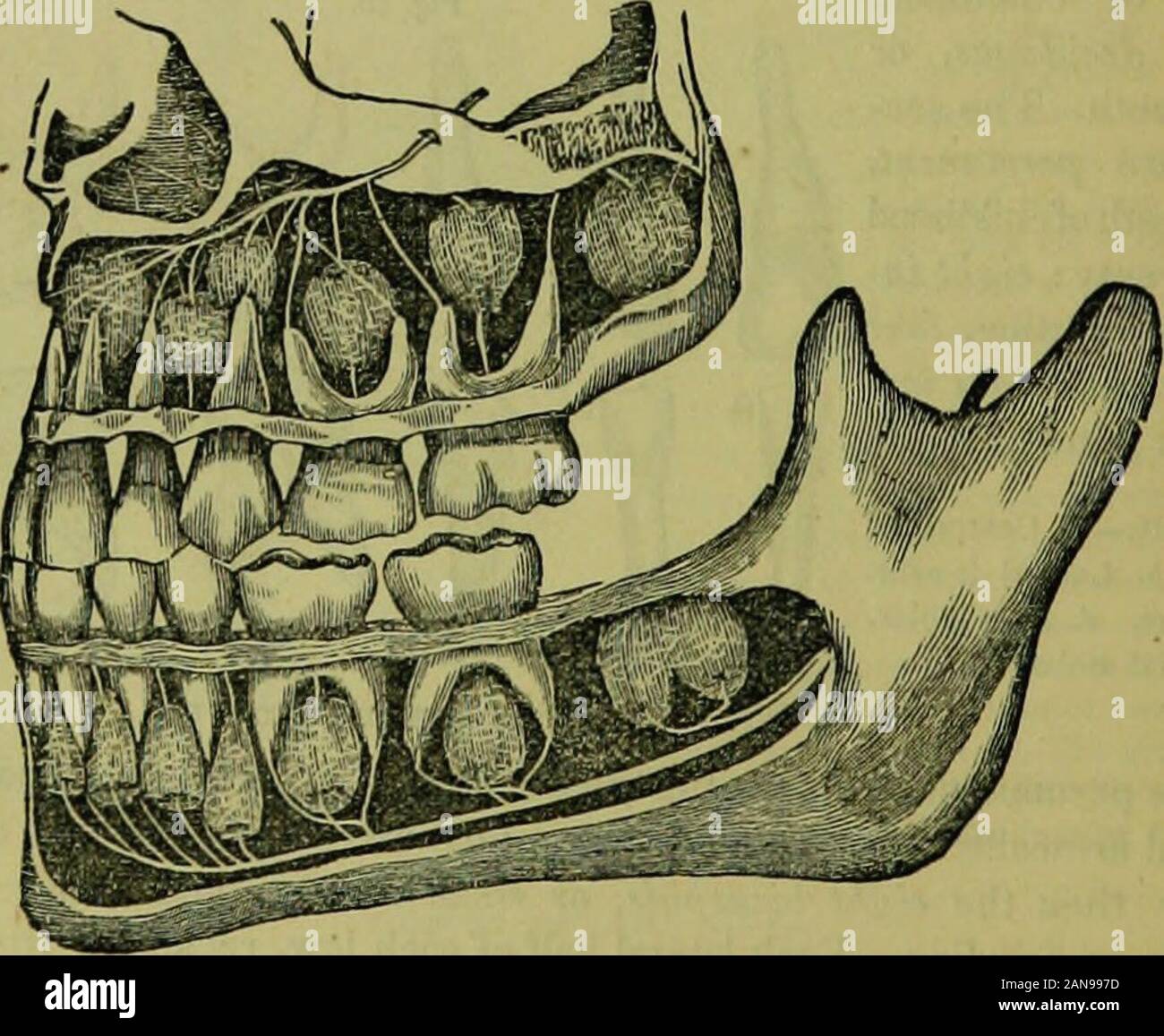 The hydropathic encyclopedia: a system of hydropathy and hygiene .. . d ...