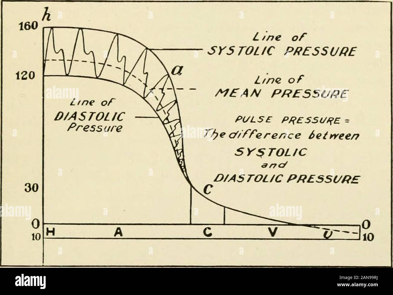 Physiology and biochemistry in modern medicine . le, which can be ...