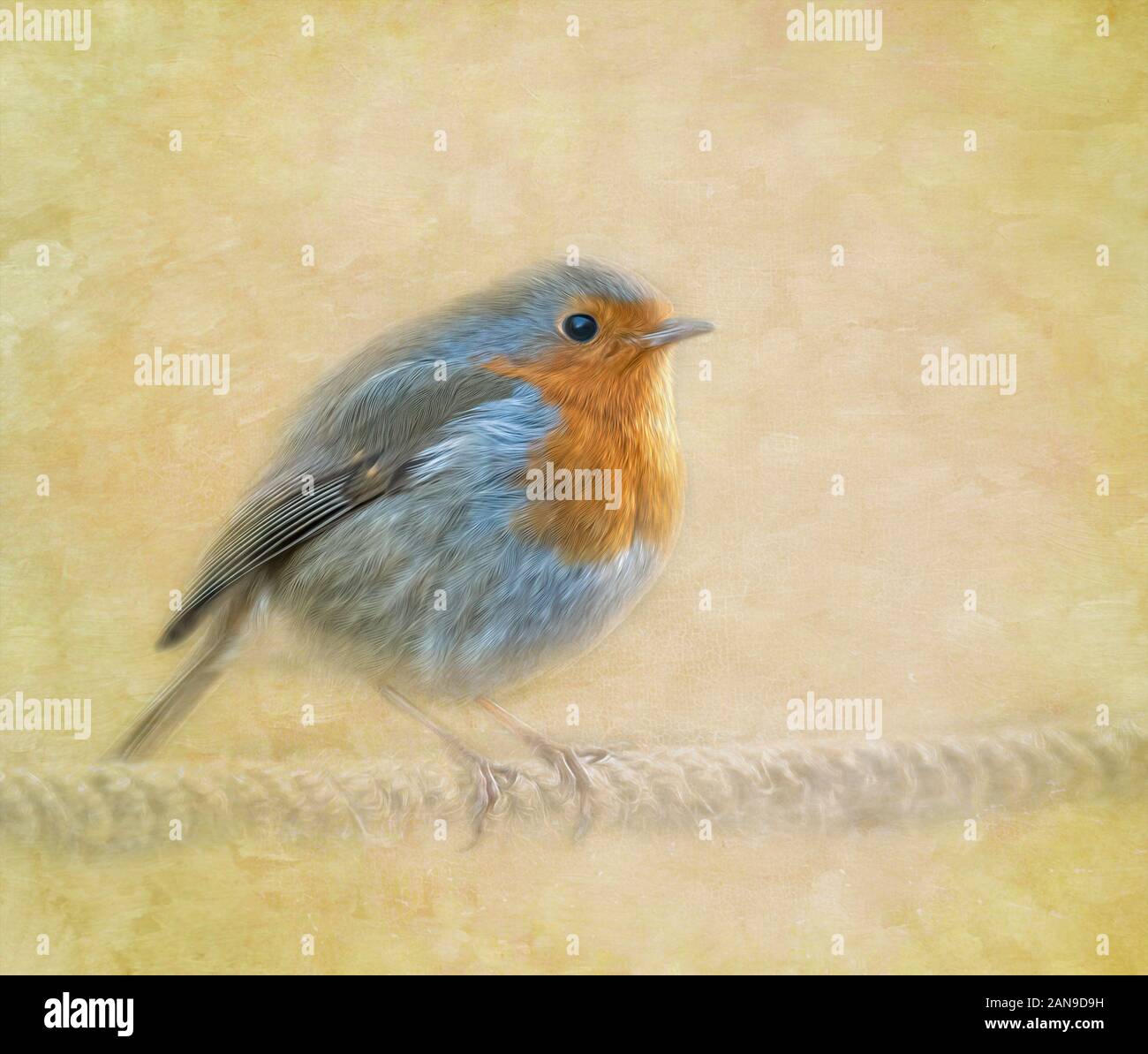 Round fat bird hi-res stock photography and images - Alamy