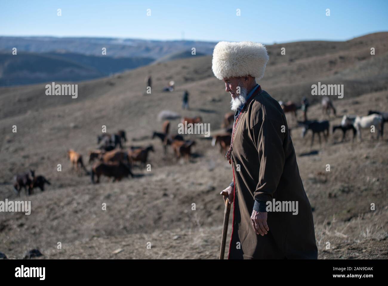 A Turkmen man wearing traditional Turkmen's costume in Raz-and-Jargalan ...