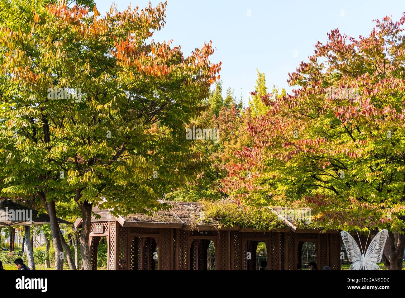 Autumn view of green trees at the Seoul forest park in downtown of ...