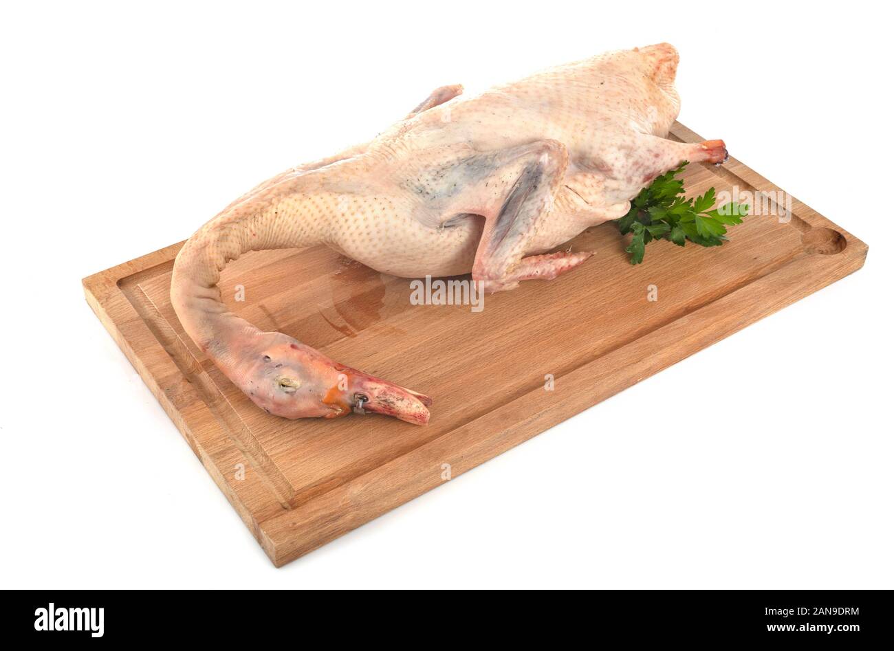 duck meat in front of white background Stock Photo - Alamy
