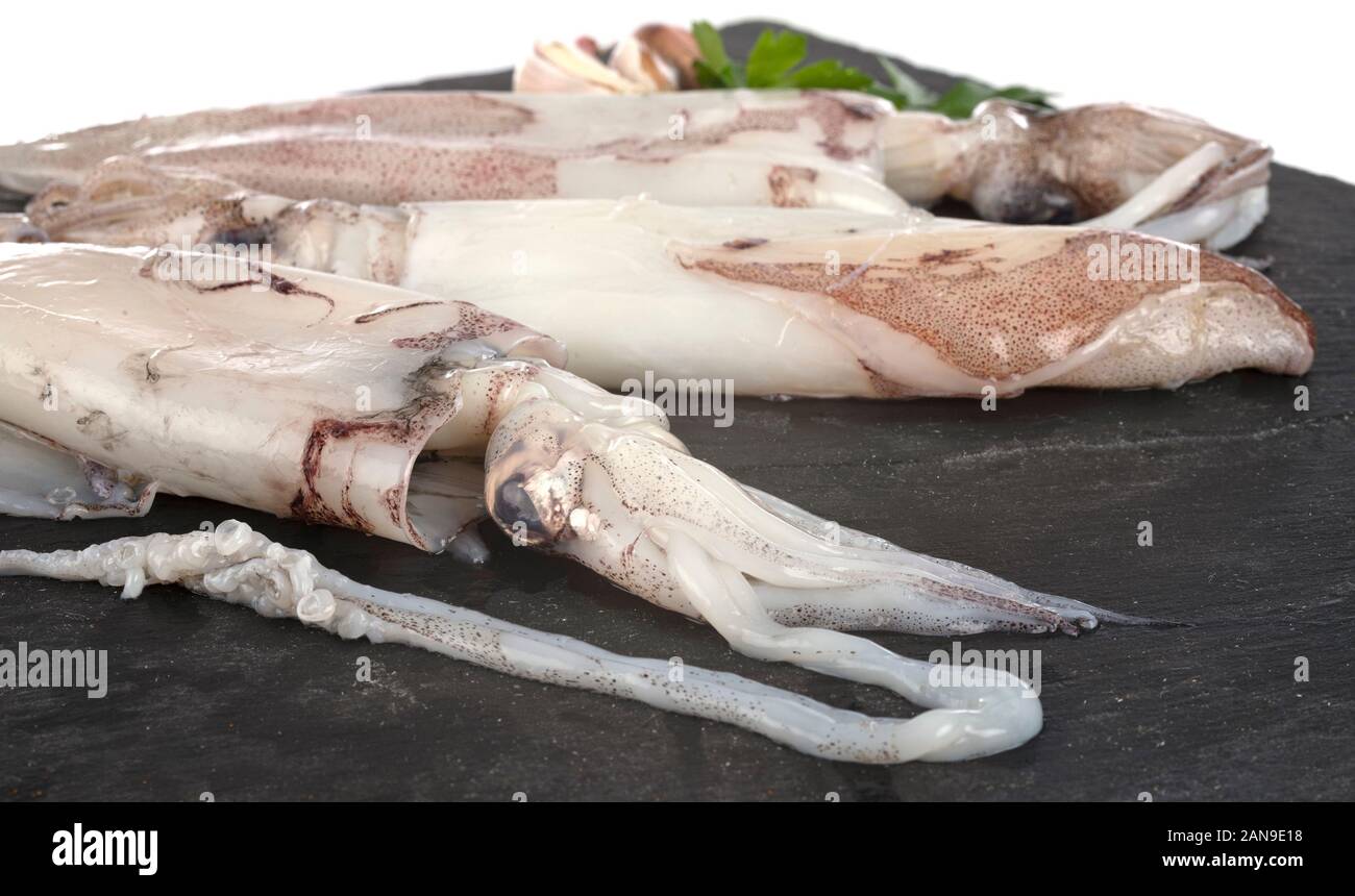 raw squid in front of white background Stock Photo - Alamy