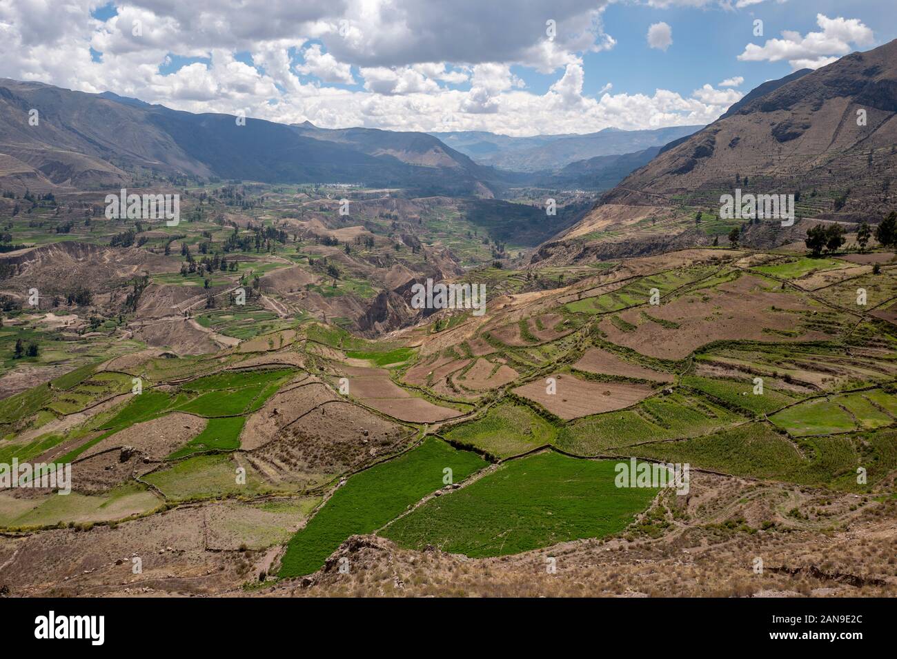 Colca Canyon near Chivay, Peru Stock Photo - Alamy