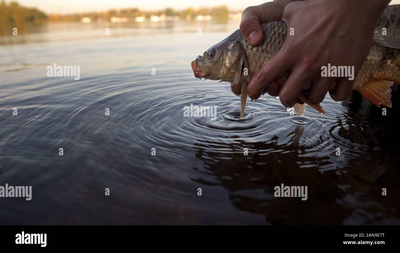 Fisherman releasing fish hi-res stock photography and images - Alamy