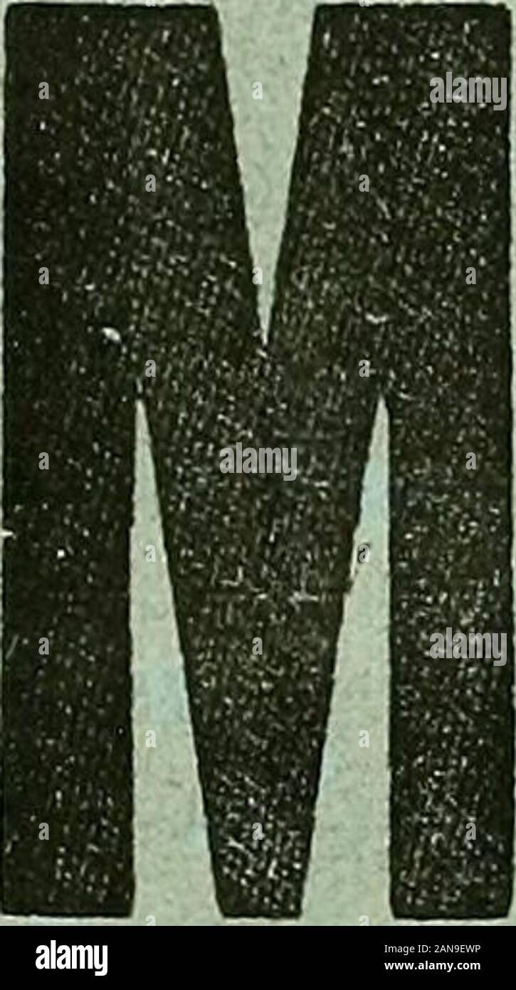 Patrick findlay hi-res stock photography and images - Alamy