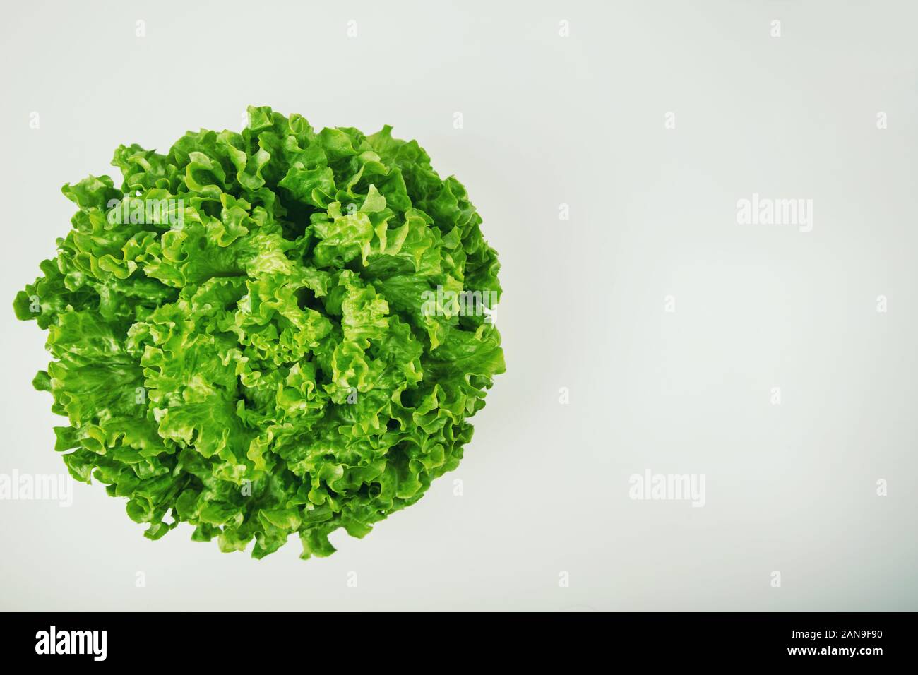 Bunch of fresh, green batavia lettuce salad head top view isolated on ...