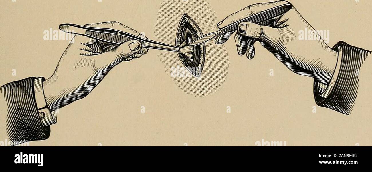 Absorbability hi-res stock photography and images - Alamy