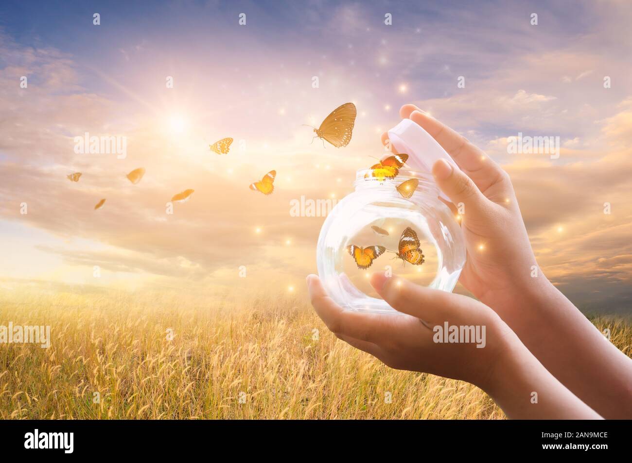 Butterfly Of Death High Resolution Stock Photography and Images - Alamy