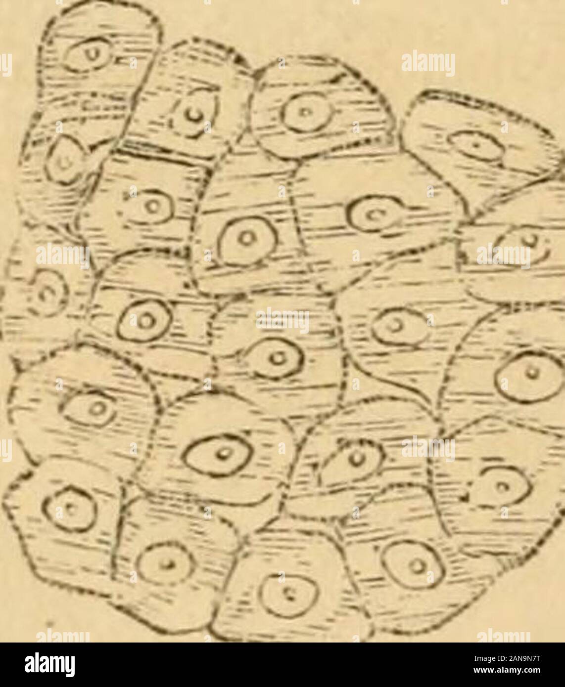 An introduction to clinical medicineSix lectures on the method of ...