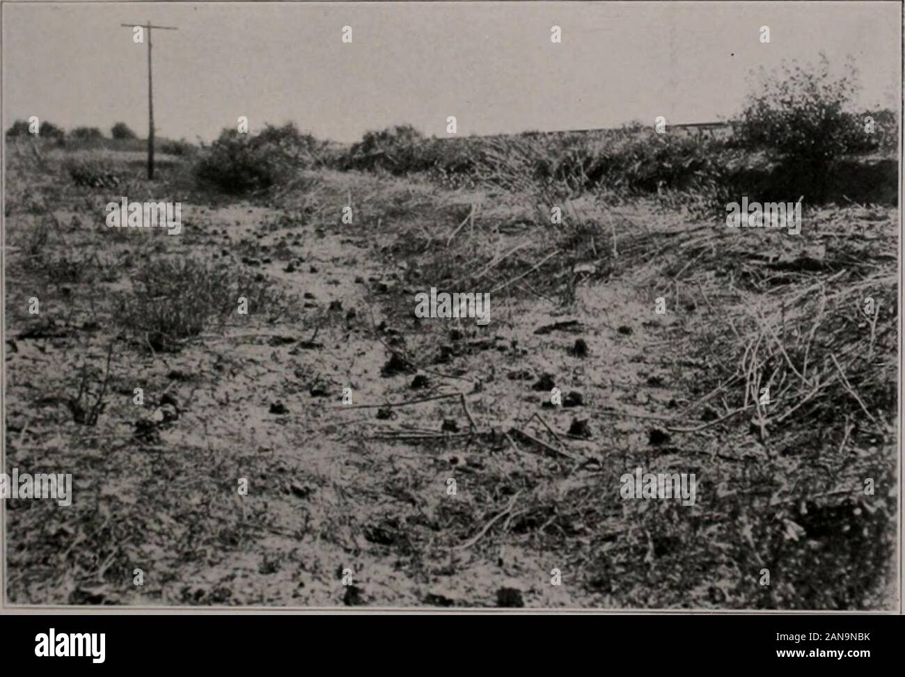 Crawfish chimney hi-res stock photography and images - Alamy