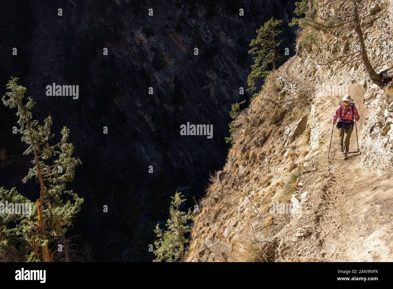 Female trekker on a precipitous trail on the Lower Dolpo trek in the ...
